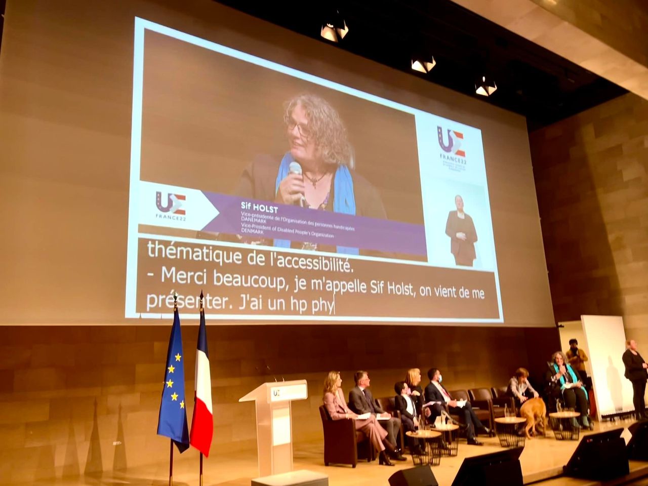 Days of joy and despair - Sif Holst